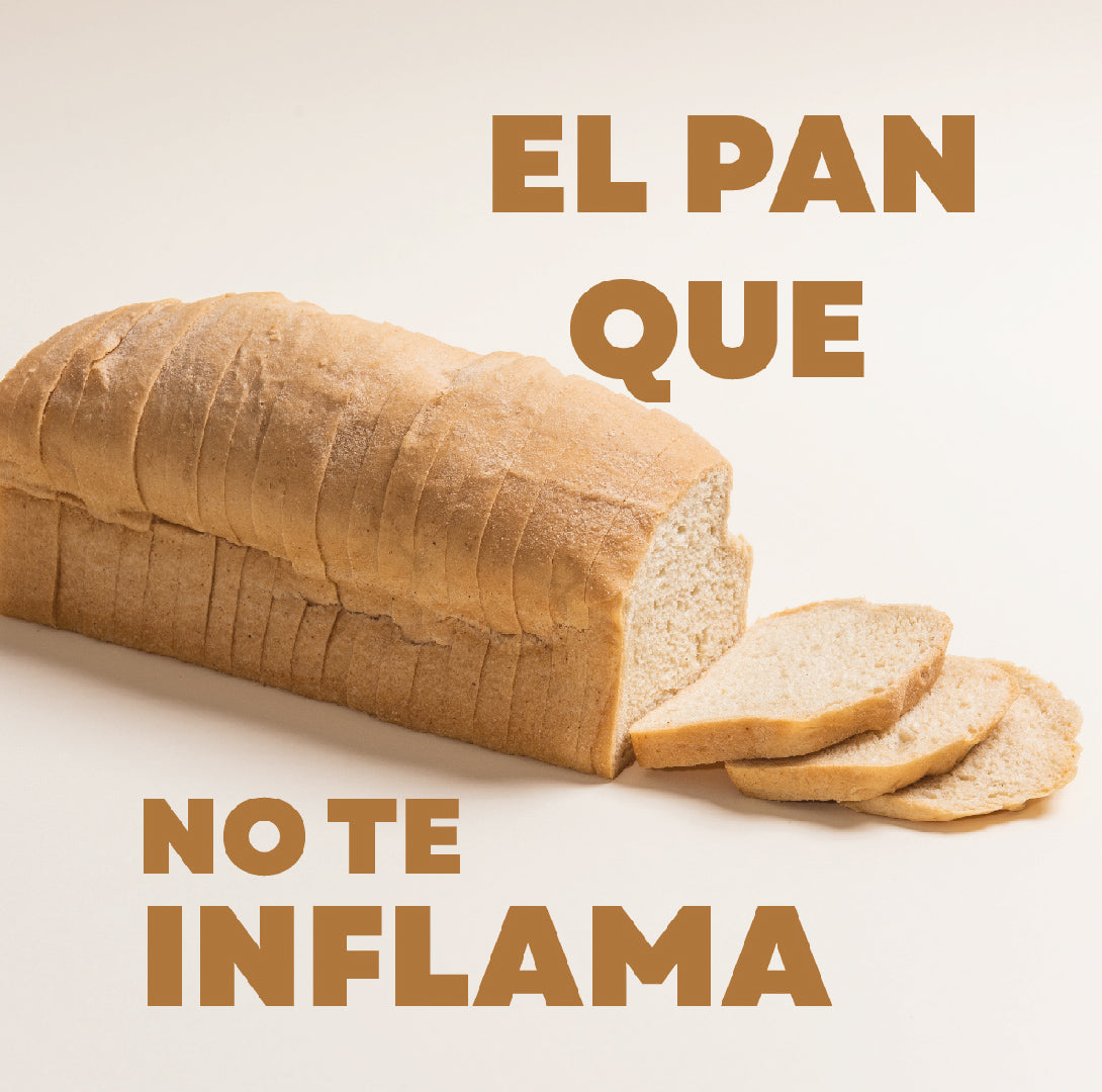 EL PAN QUE TE CAE BIEN – Dushi Alimentos Colombia